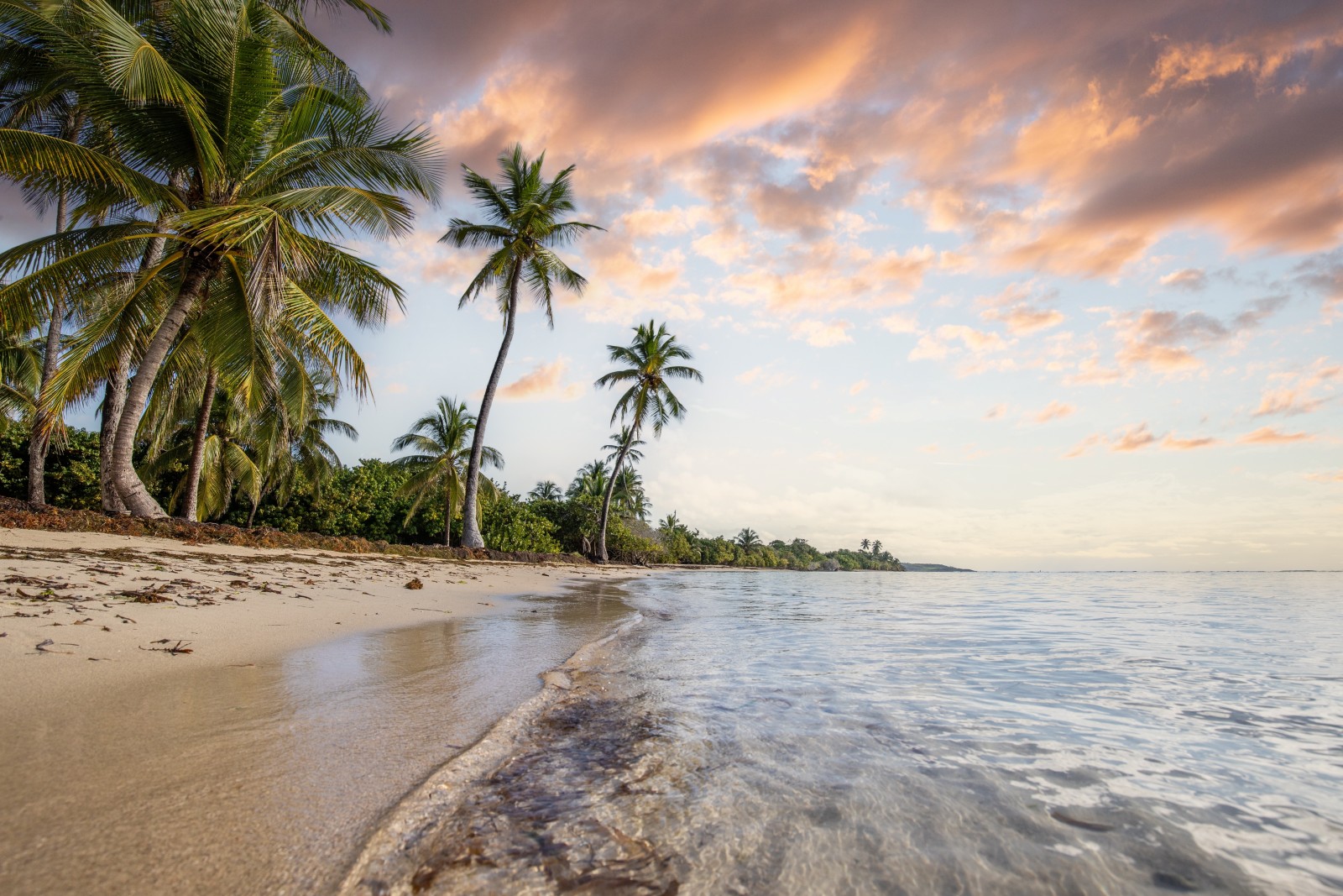 Best beaches in Guadeloupe